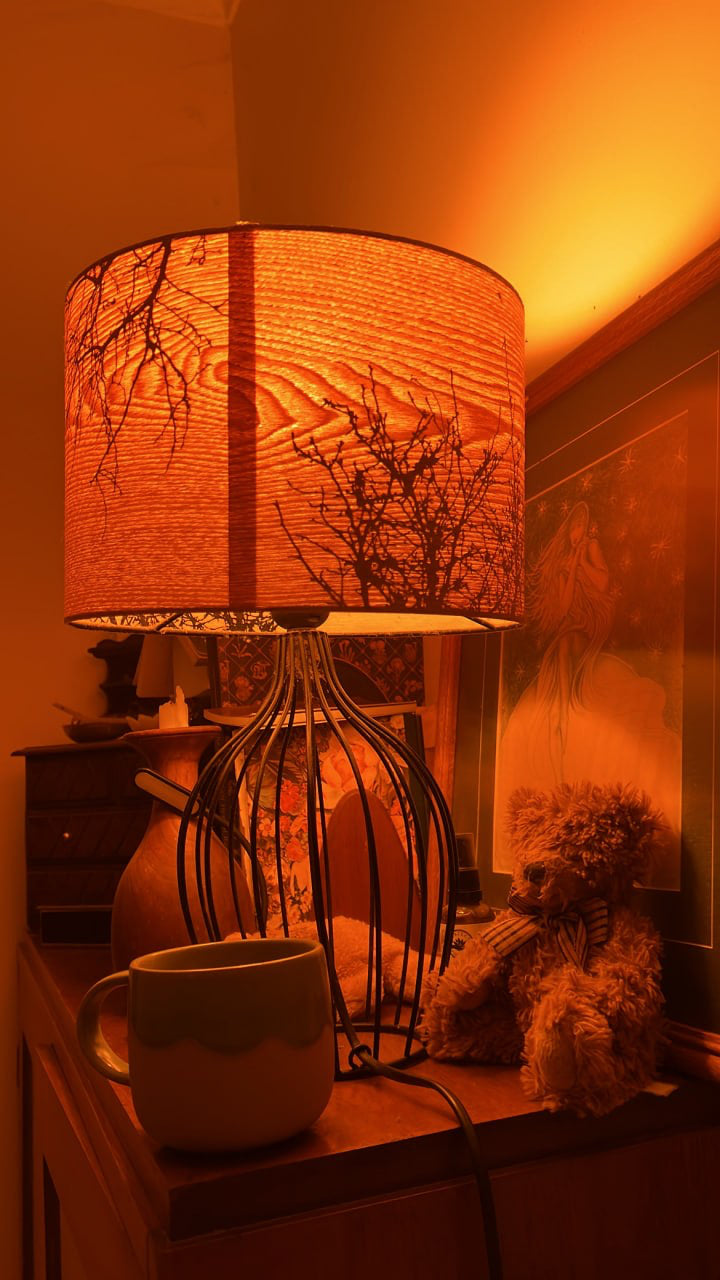 Blue Light Blocking Light Bulbs and Lighting – Quirky Cooking